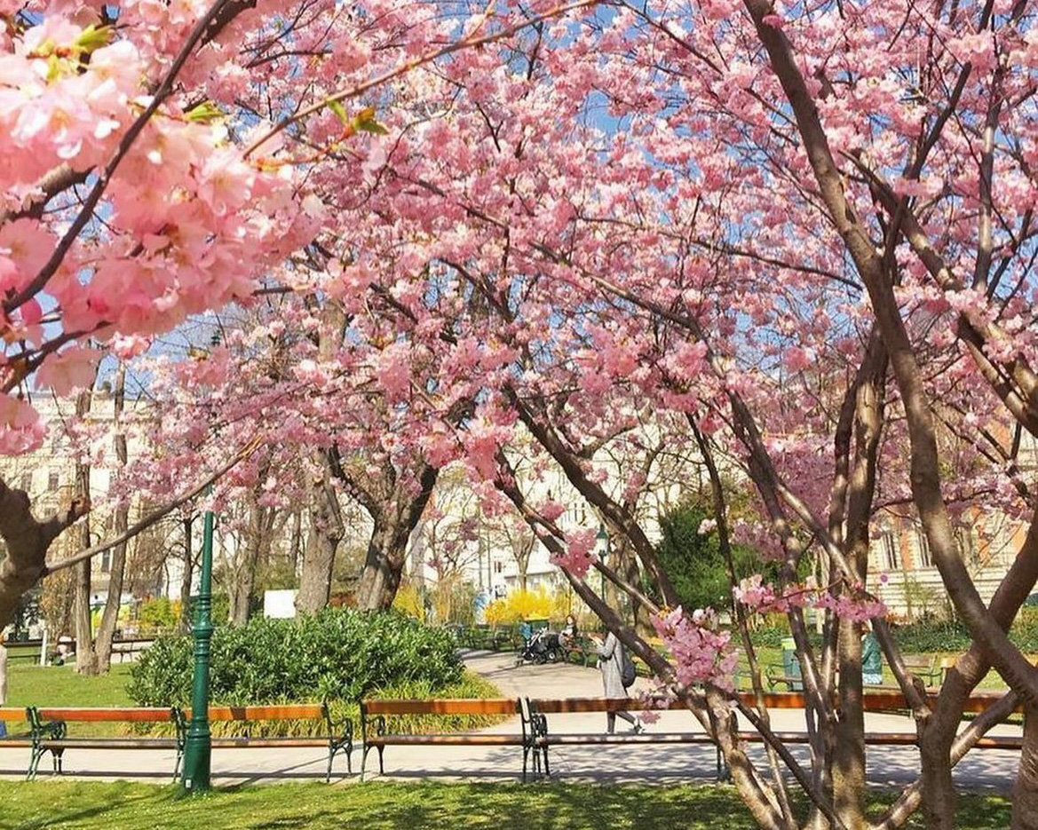 Spring in Vienna – Vienna Community Church